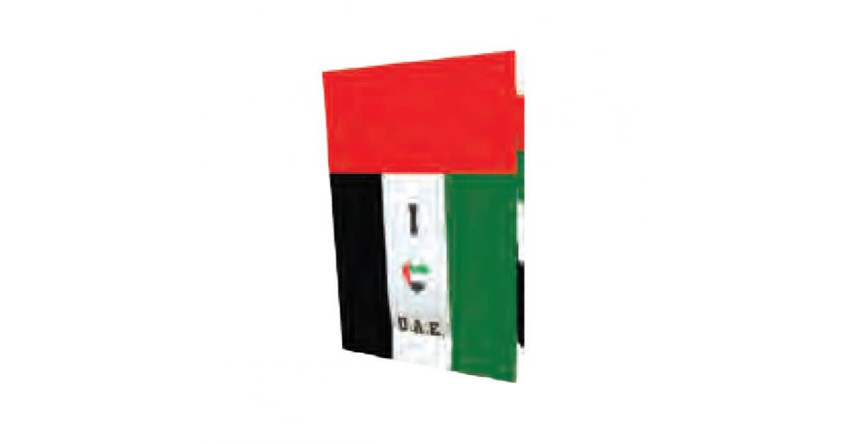 UAE Flag Paper Bag 29X37 cm - 12 pcs | sandhai.ae