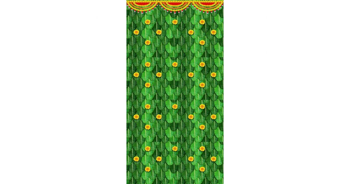 Golu Banana Leaf Curtain Backdrop | Sandhai | sandhai.ae